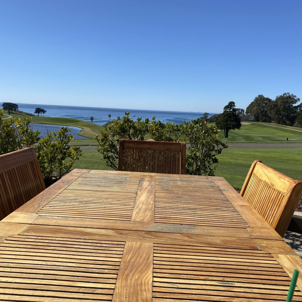 Apple iPhone 11 photos - Xameras - Library of Camera Samples