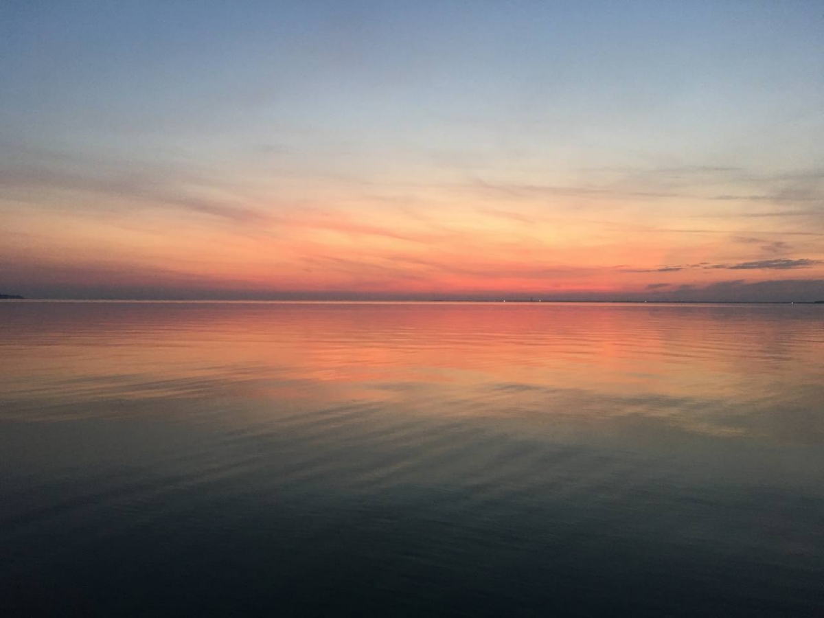 Apple iPhone 6s Plus photos - Xameras - Library of Camera Samples