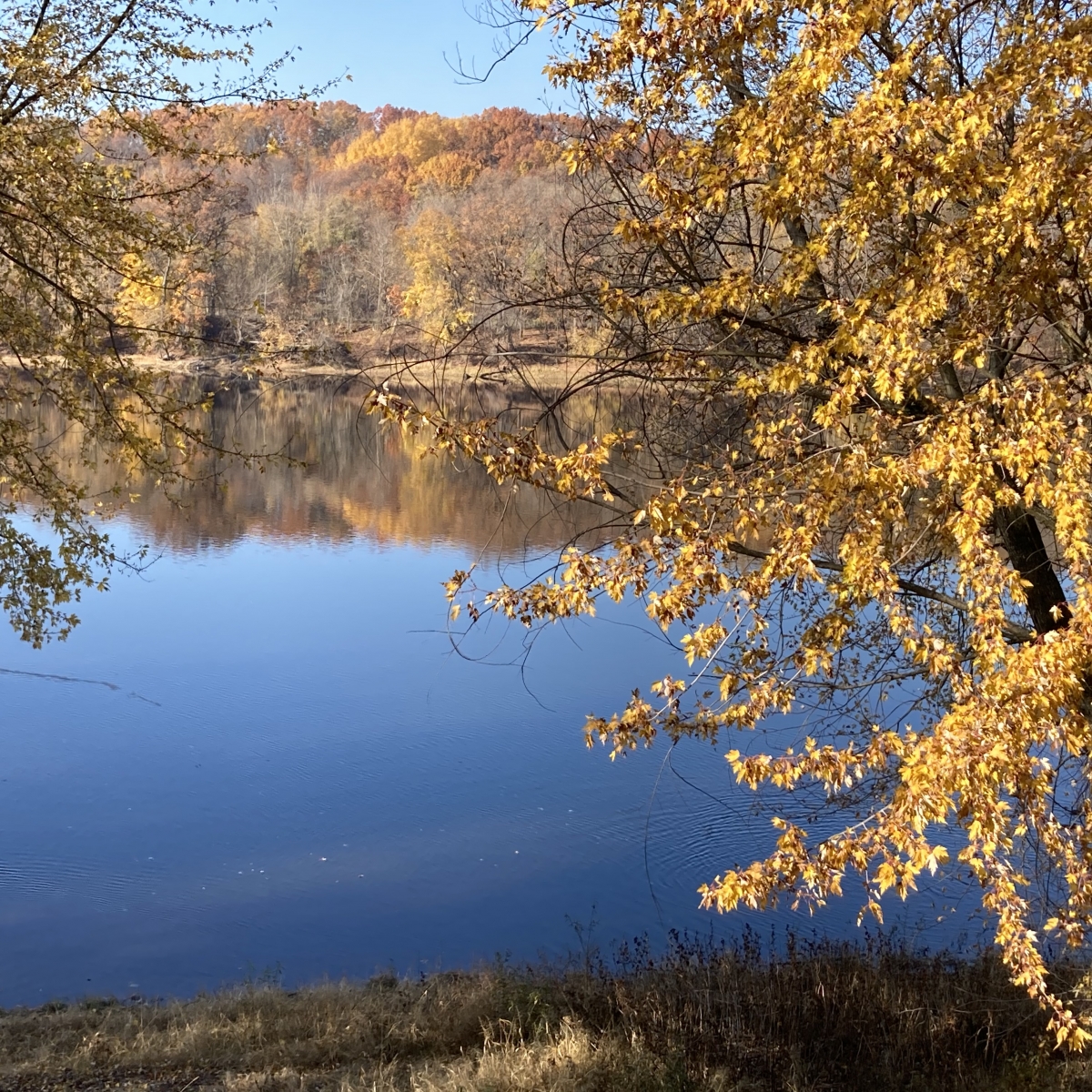 Apple iPhone SE (2020) photos - Xameras - Library of Camera Samples