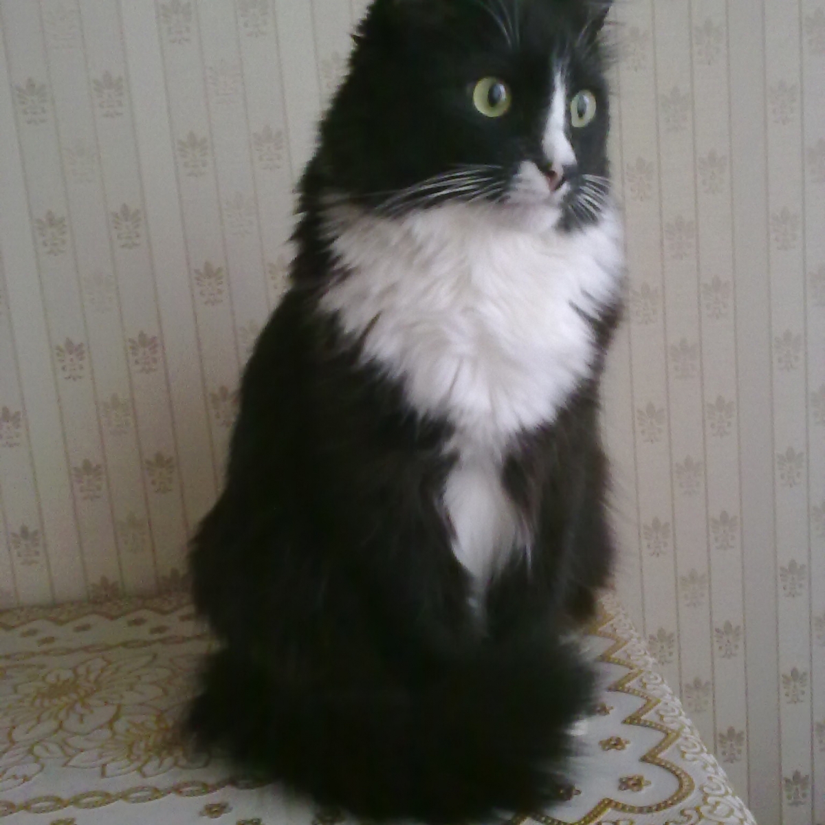 Nokia 5530 XpressMusic camera sample Photo - Xameras - Library of ...